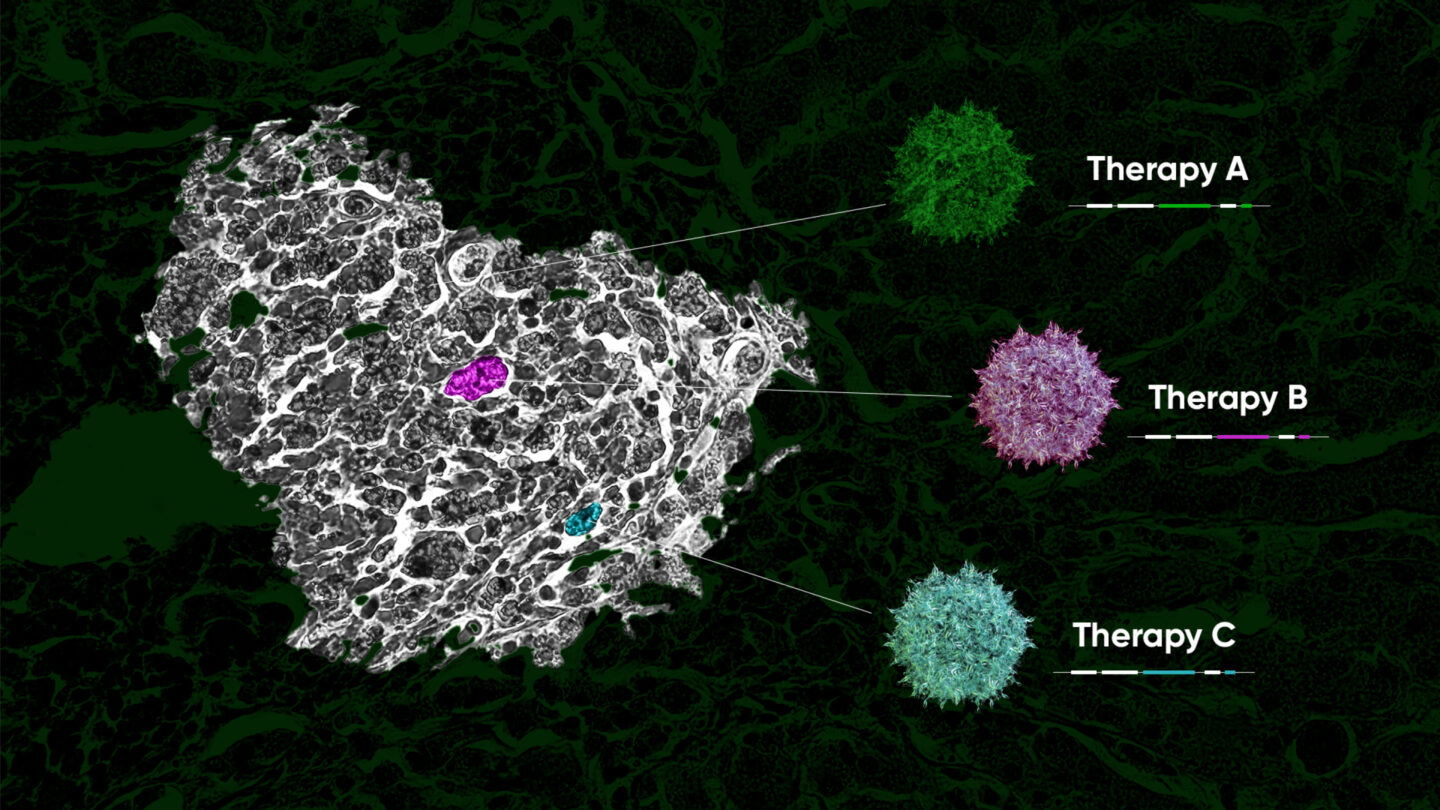 Gordian Biotechnology
